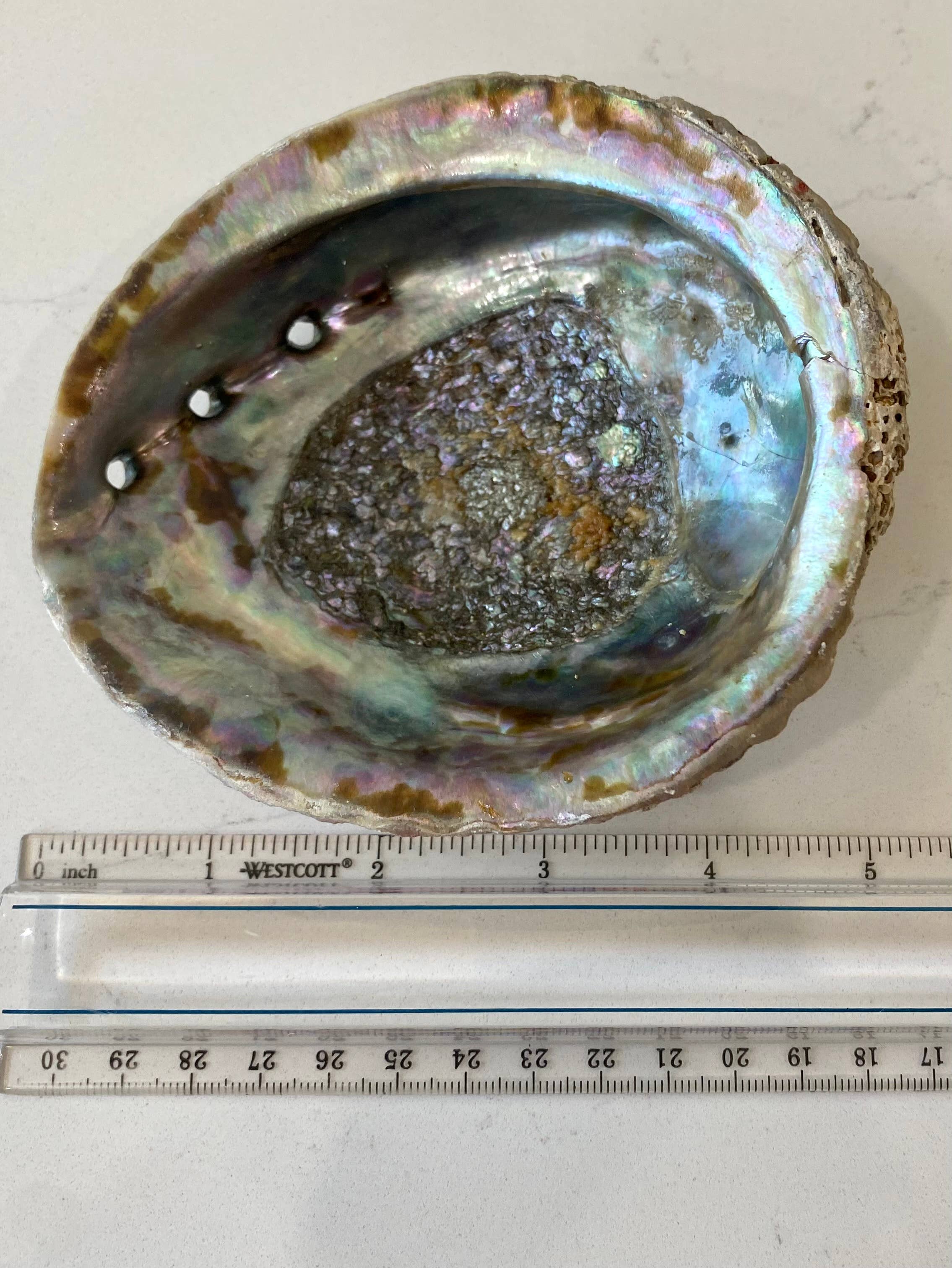 Faiza Naturals - Abalone Shell Smudge Bowls (Medium): Medium – Sunset ...